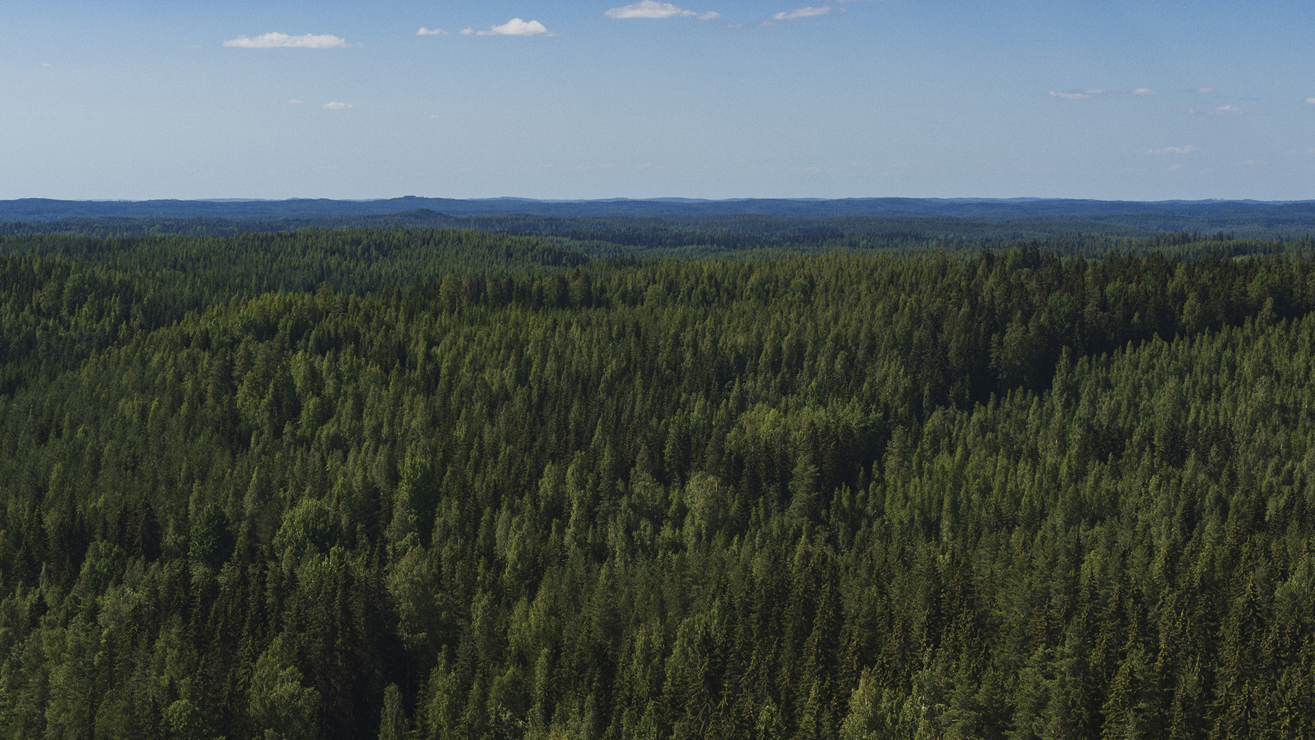 UPM provides support for the EUDR transition | A material solutions company