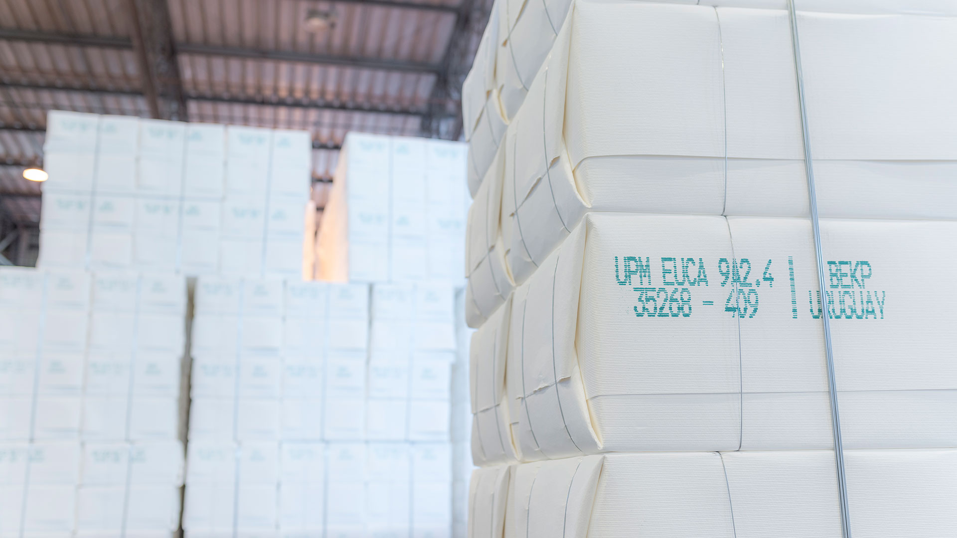 UPM is getting ready to deliver more pulp to new markets | A material ...