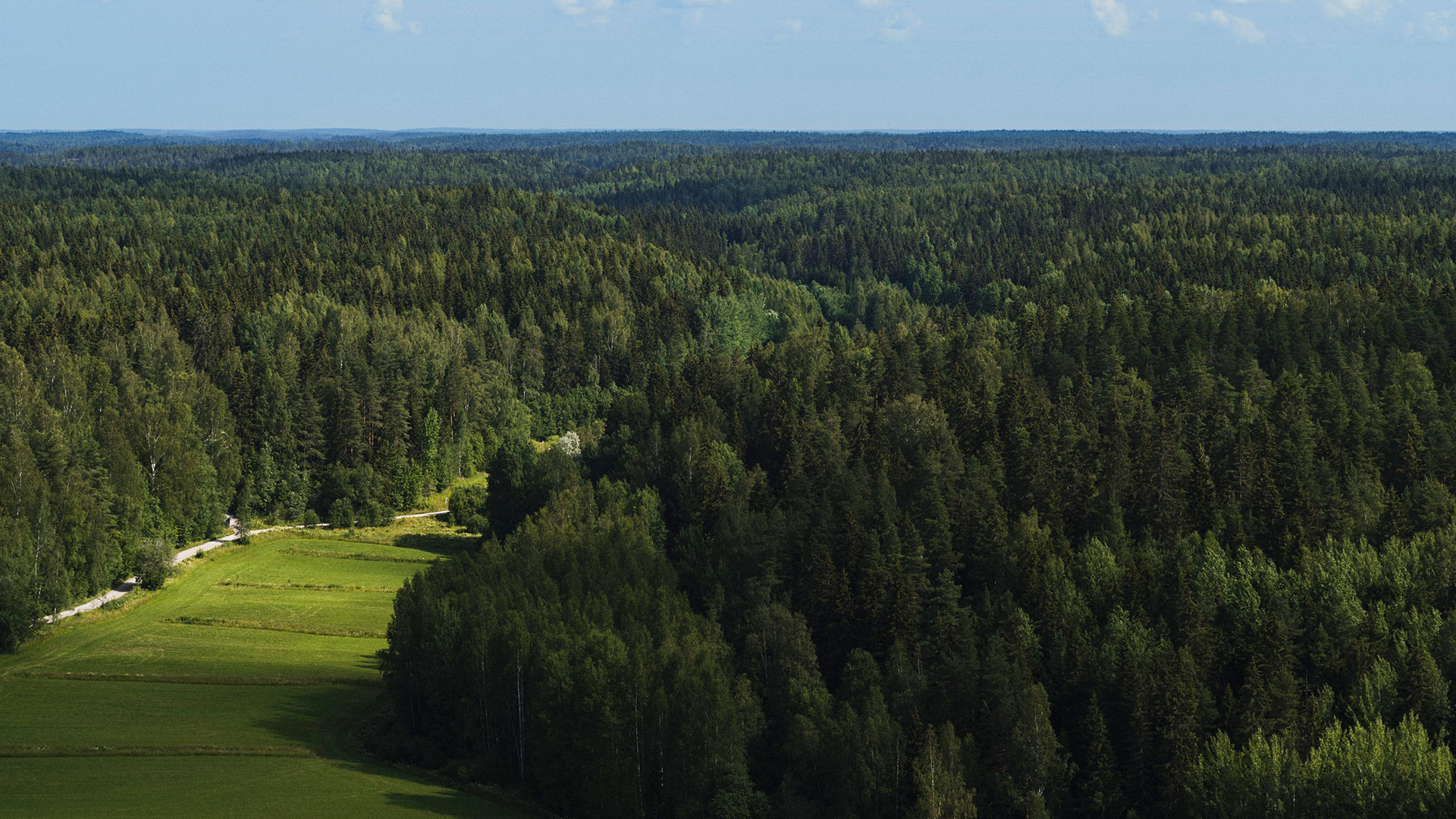 Should we enhance forest growth or stop harvesting wood? | A material ...