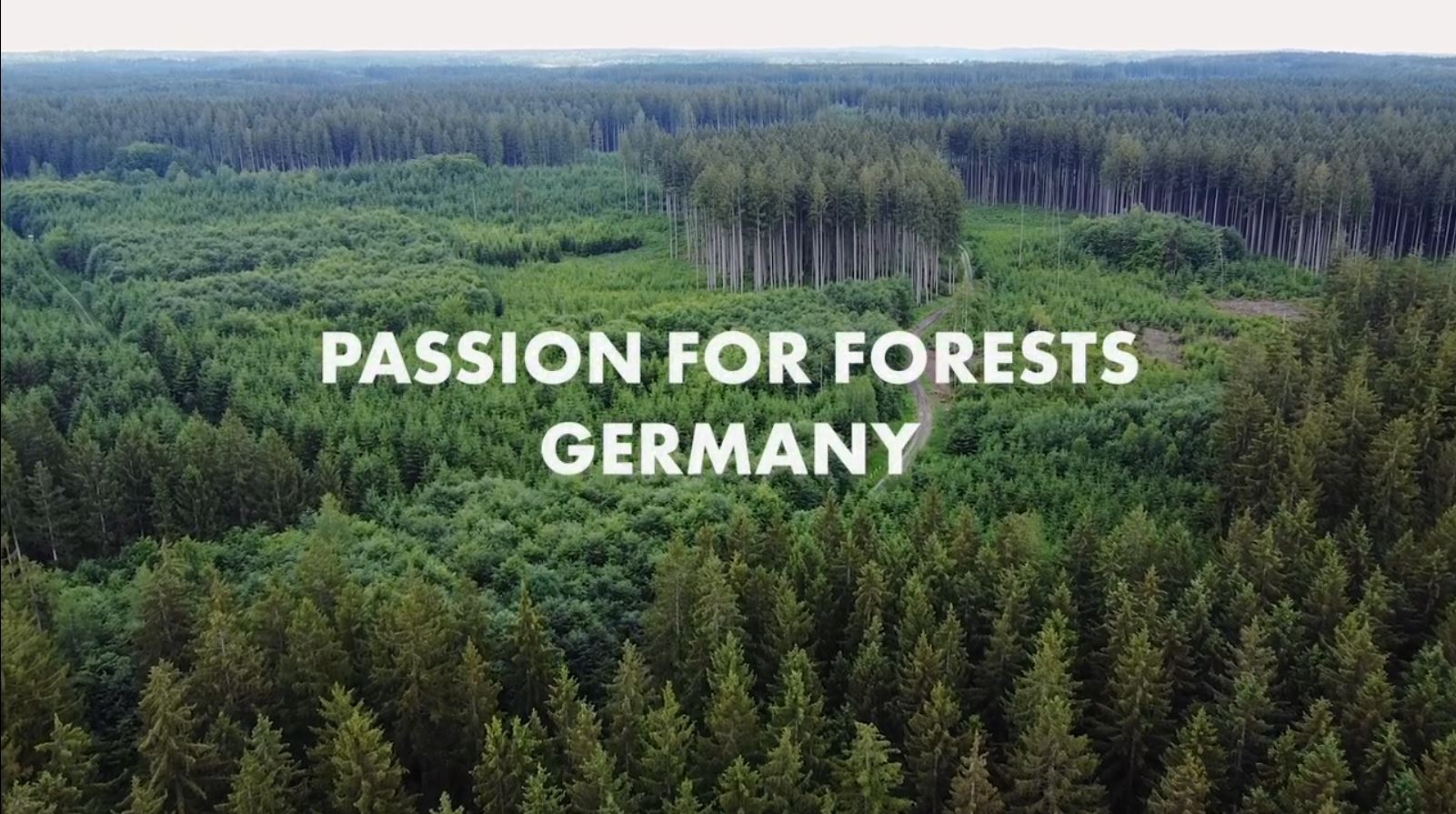 Passion for forests – supporting the resilience of forests against ...