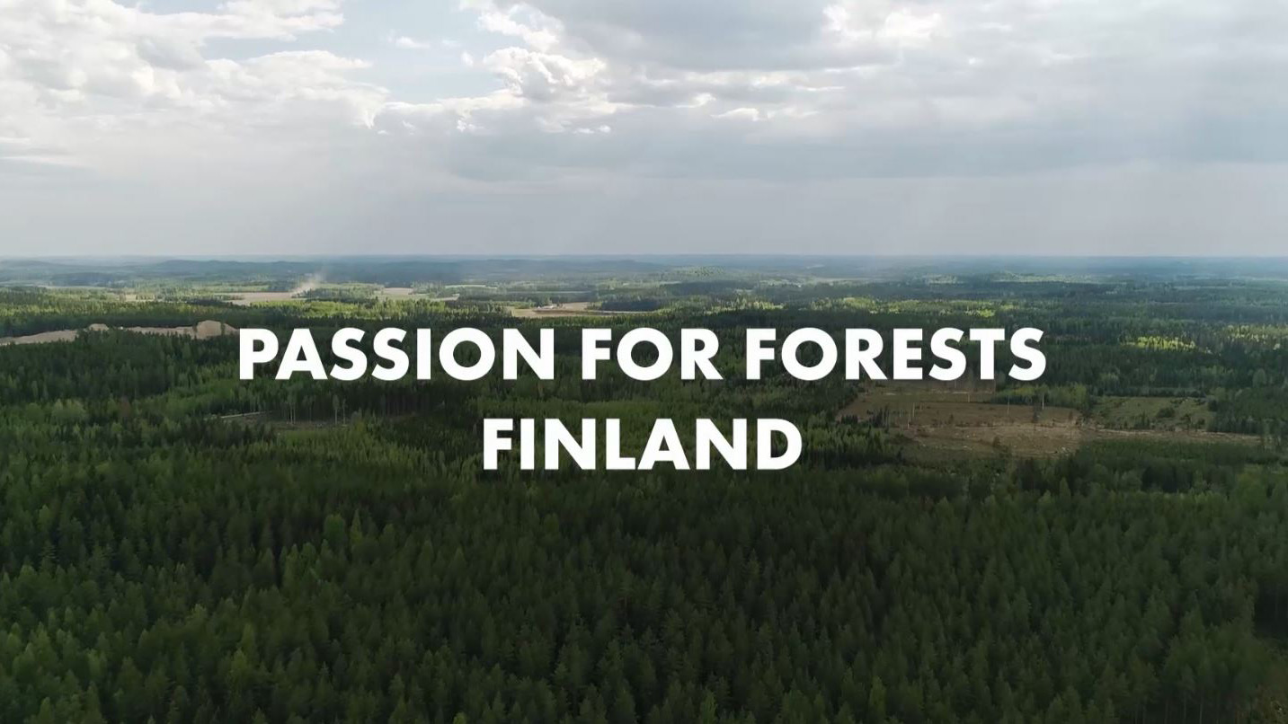 Passion for forests – learnings in sustainable forest management ...