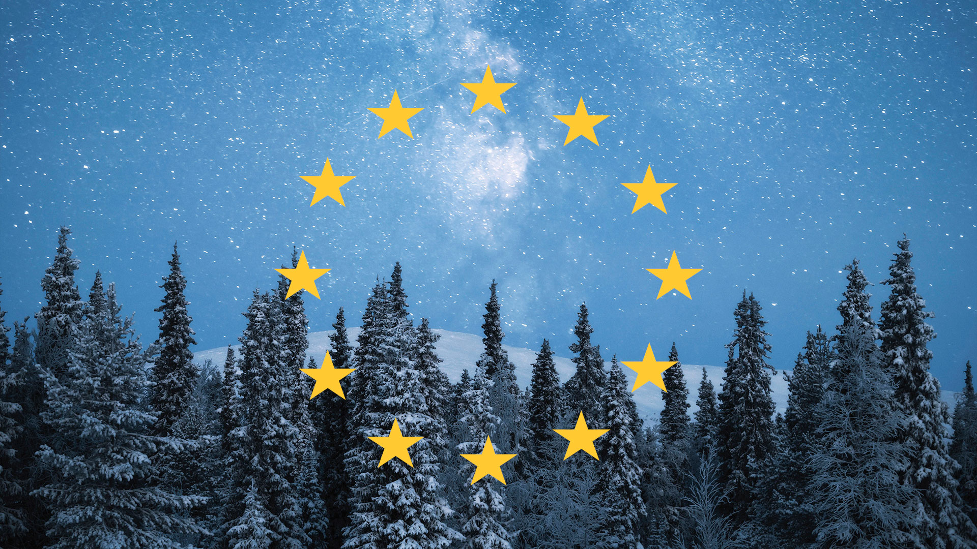 9 questions on the EU Forest strategy and its impact on Finland | A ...